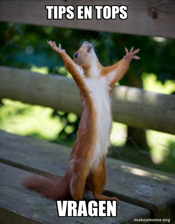 Tips en Tops Vragen - Happy Squirrel Meme Generator