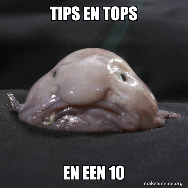 tips en tops en een 10 - Blobfish Meme Generator