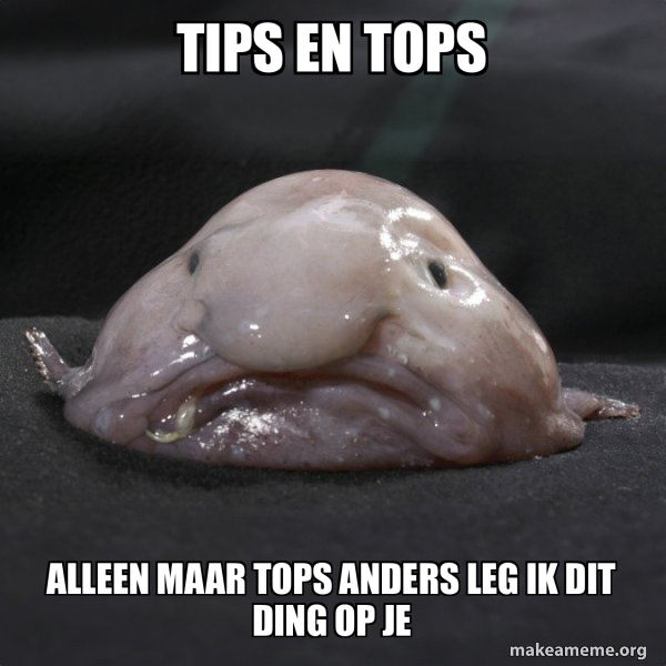 tips en tops alleen maar tops anders leg ik dit ding op je - Blobfish ...