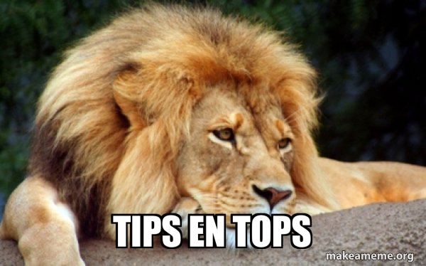 tips en tops - Confession Lion Meme Generator