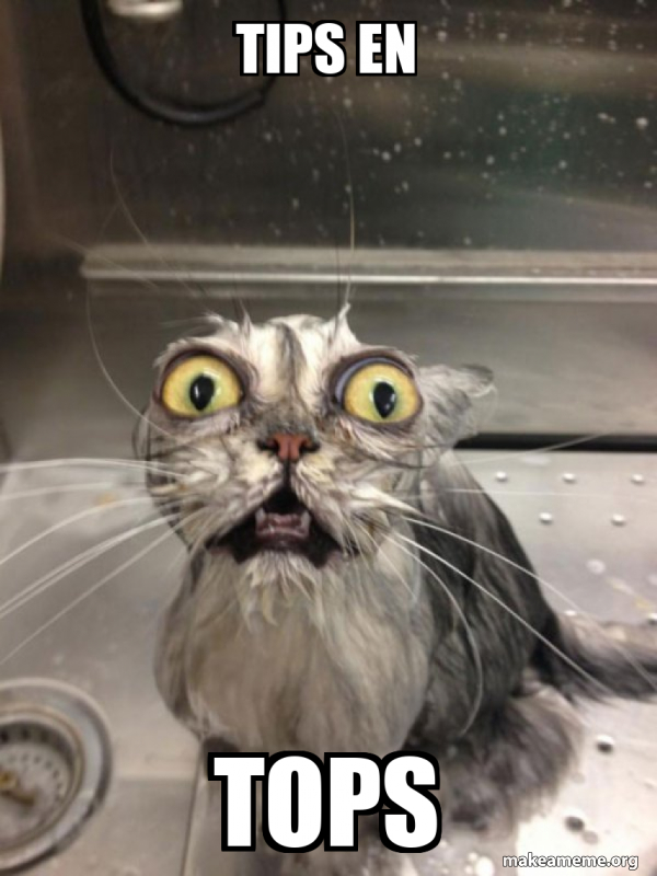 tips en tops - Cat bath Meme Generator
