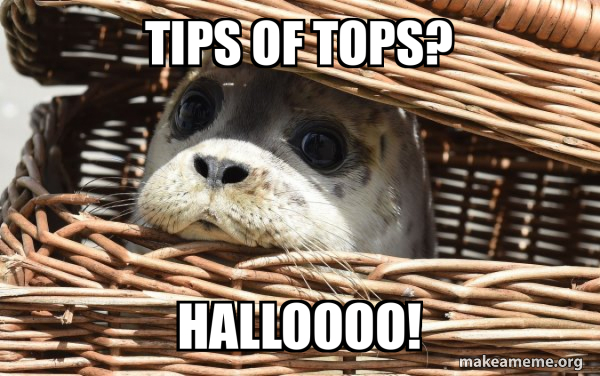 Tips of Tops? Halloooo! - Impending Doom Seal Meme Generator