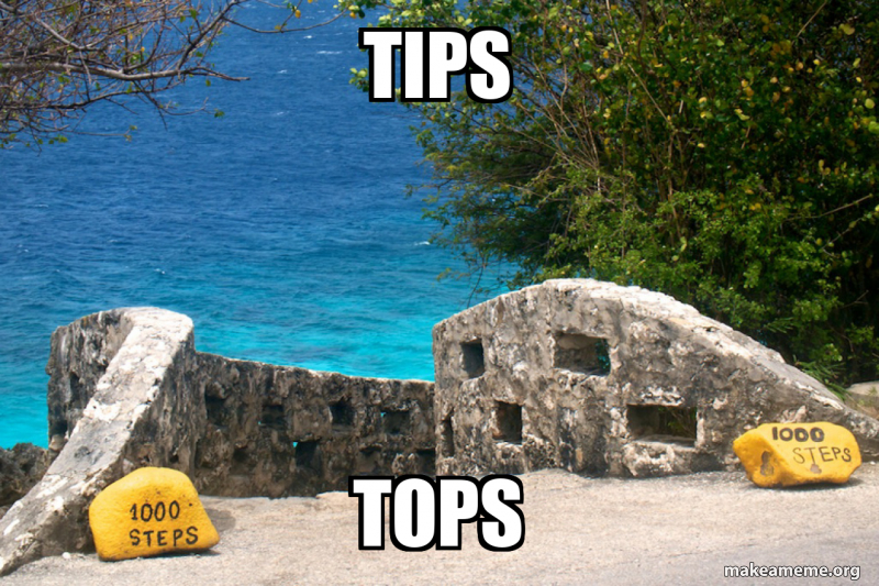 tips tops Meme Generator