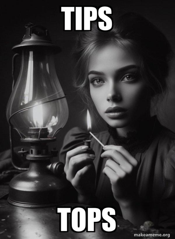 tips tops - Gaslighting Meme Generator