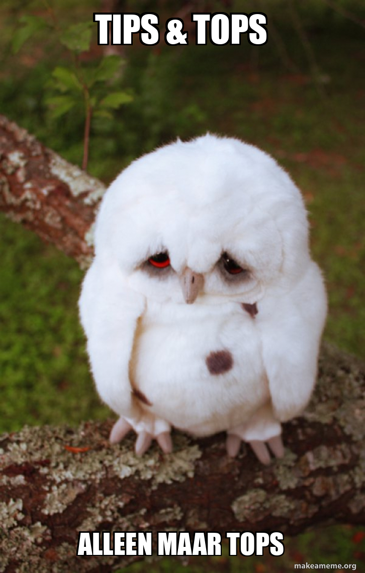 tips & tops alleen maar tops - Sad Owl Meme Generator