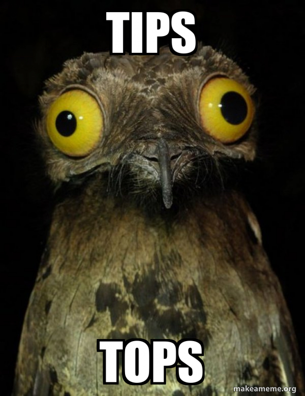 TIPS TOPS - Weird Stuff I do Potoo Meme Generator