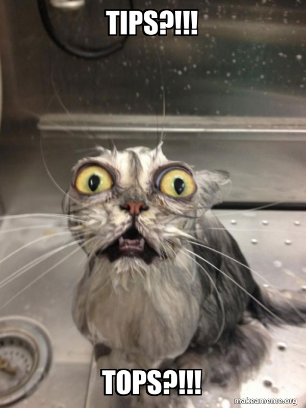 TIPS?!!! TOPS?!!! - Cat bath Meme Generator