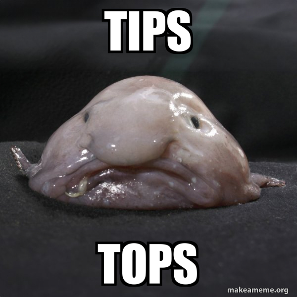 tips tops - Blobfish Meme Generator