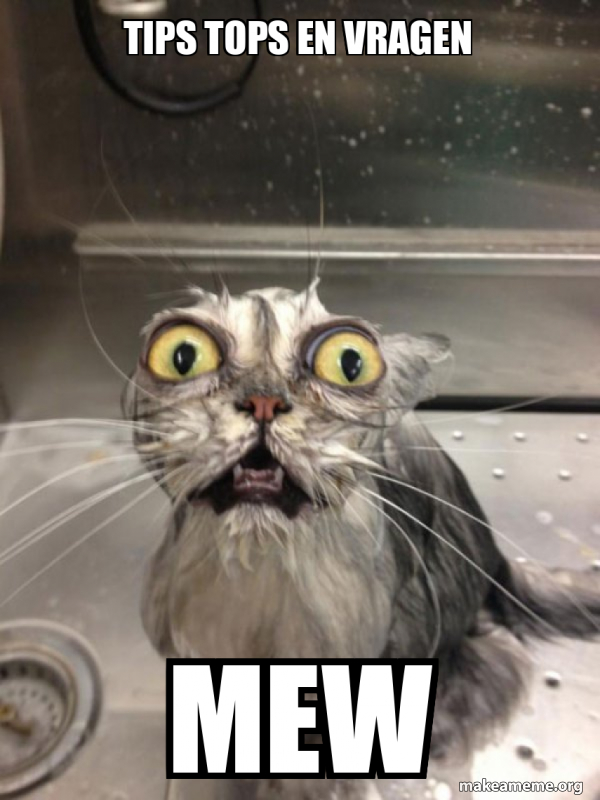 tips tops en vragen mew - Cat bath Meme Generator