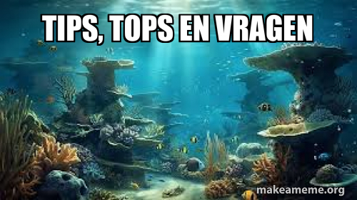 Tips, tops en vragen Meme Generator