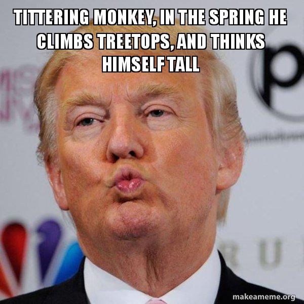 Tittering monkey, in the spring he climbs treetops, and thinks himself ...