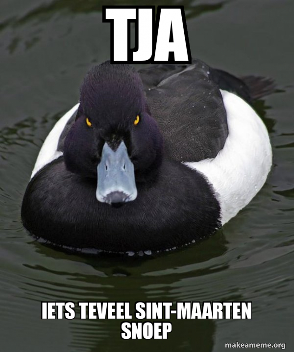 Tja iets teveel Sint-Maarten snoep - Revenge Duck ( Angry Advice Duck ...