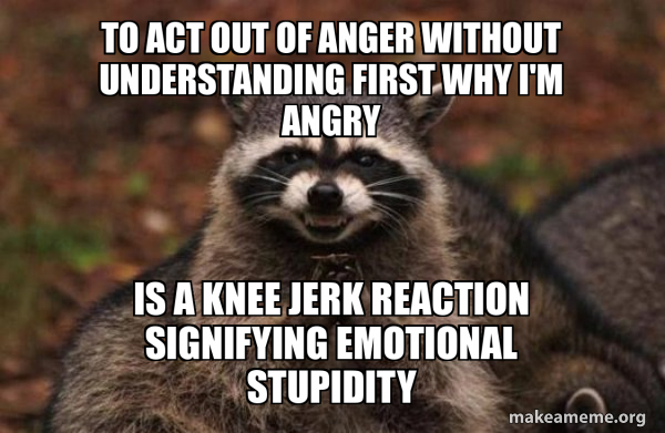 To act out of anger without understanding first why I'm angry Is a knee ...