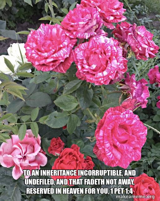To an inheritance incorruptible, and undefiled, and that fadeth not ...