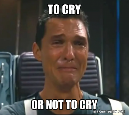 To cry or not to cry Meme Generator