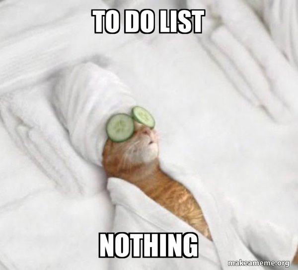 to do list nothing - Pampered Cat Meme Meme Generator