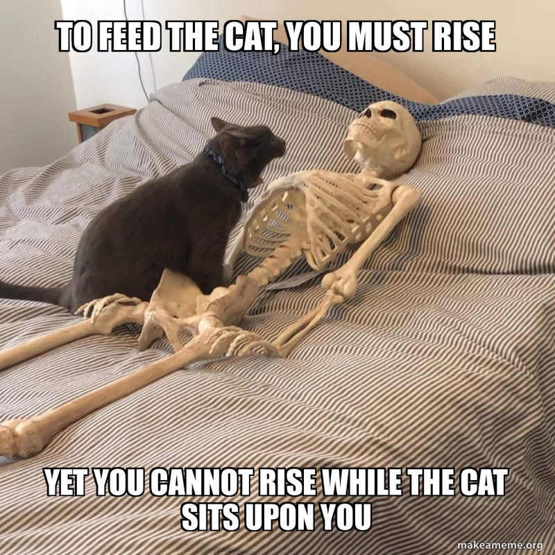 to feed the cat, you must rise yet you cannot rise while the cat sits ...