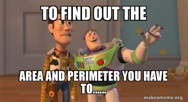 to find out the area and perimeter you have to...... - Buzz and Woody ...