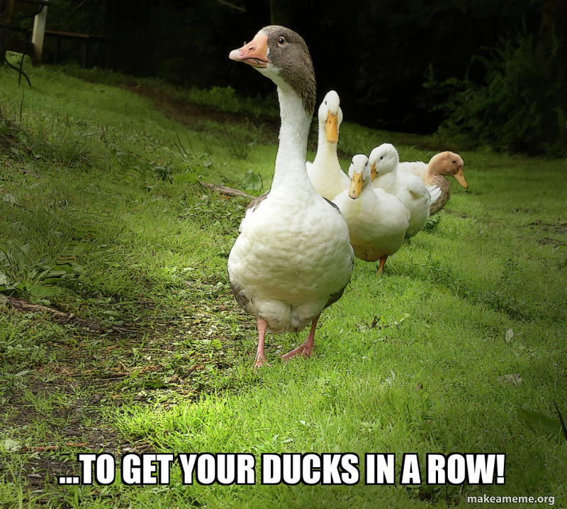 ...To Get Your Ducks in a Row! Meme Generator