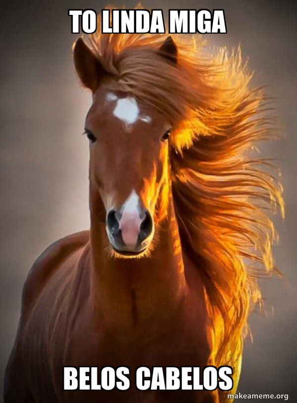 TO LINDA MIGA BELOS CABELOS - Ridiculously photogenic horse Meme Generator