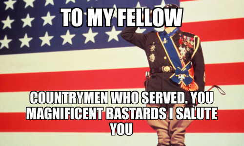 TO MY FELLOW COUNTRYMEN who served. you magnificent bastards i salute ...