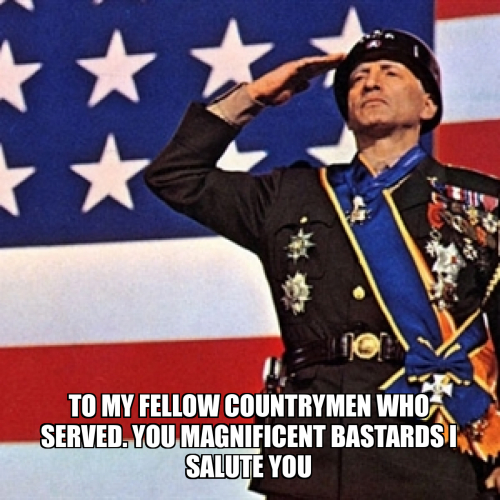 TO MY FELLOW COUNTRYMEN who served. you magnificent bastards i salute ...