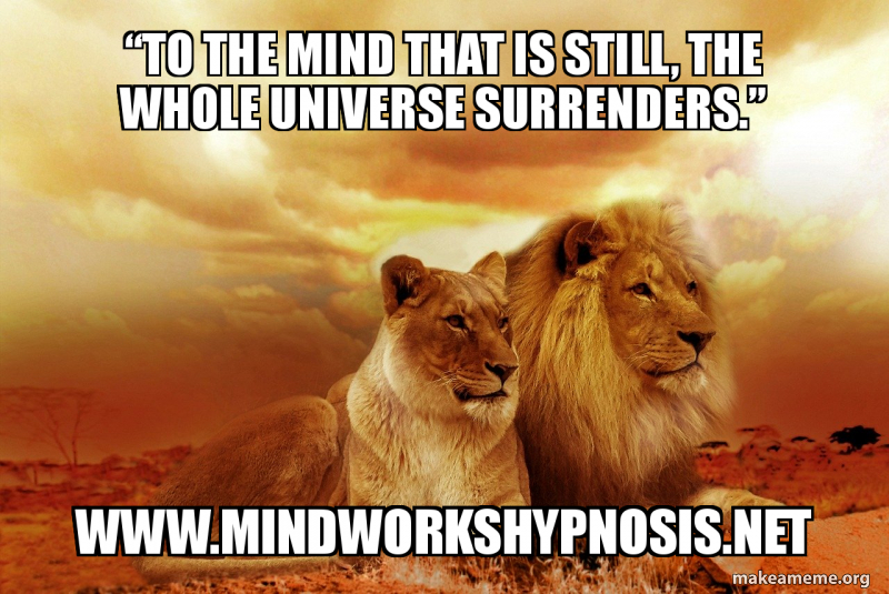 â€œTo the mind that is still, the whole universe surrenders.â€ www ...