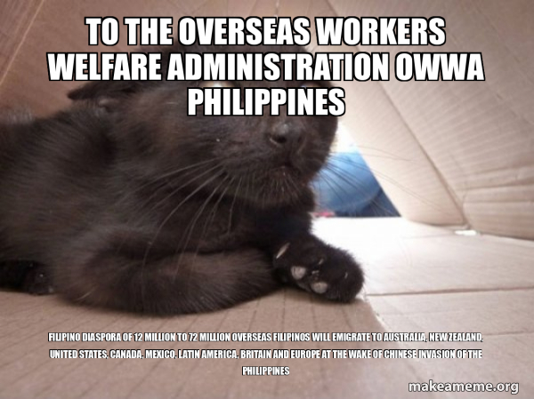 TO THE OVERSEAS WORKERS WELFARE ADMINISTRATION OWWA PHILIPPINES ...