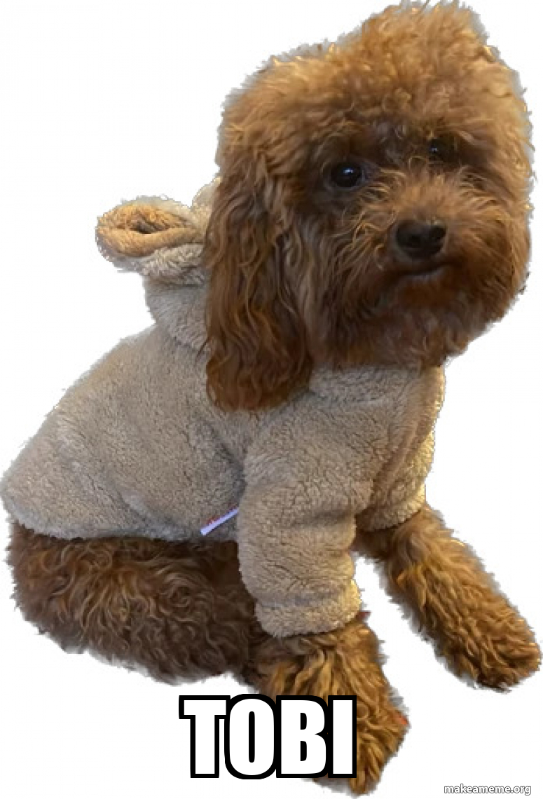 tobi Meme Generator