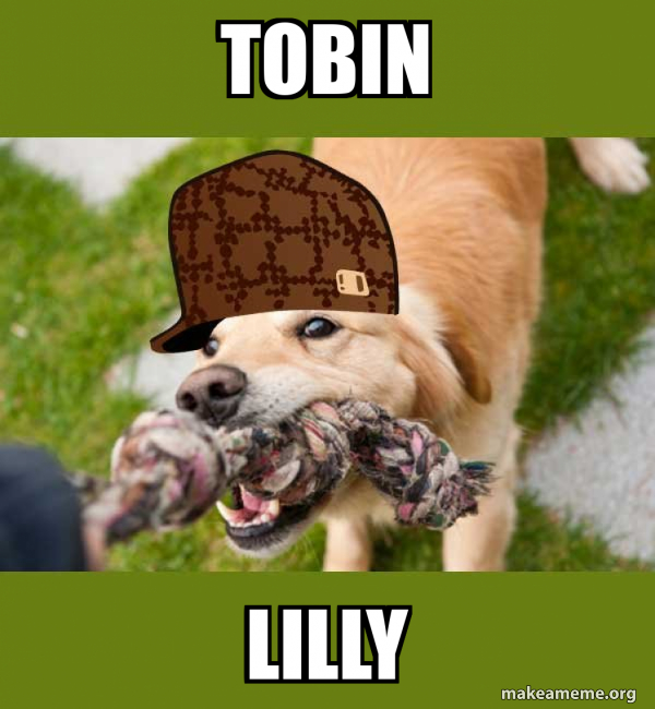 Tobin Lilly - Scumbag dog Meme Generator