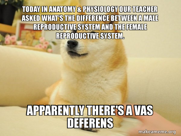 Today in Anatomy & Physiology our teacher asked what's the difference ...