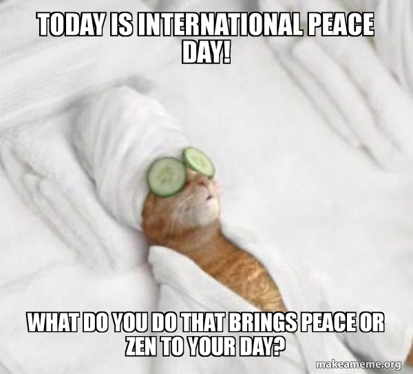 Today is International Peace Day! What do you do that brings peace or ...
