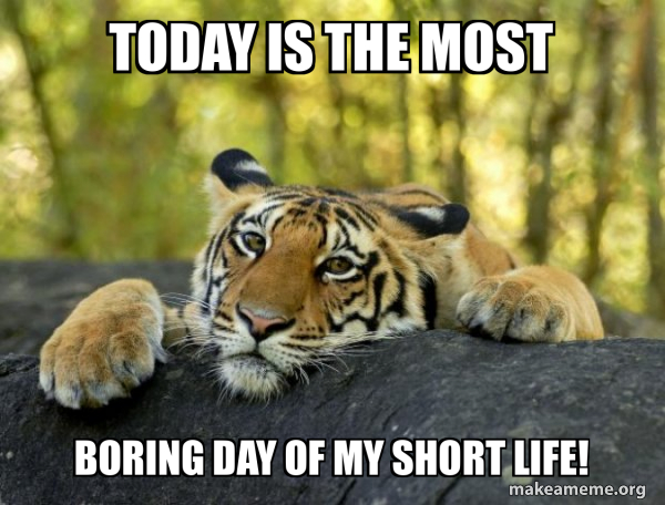 Boring Day Memes Teachers In Summer: What Day Is It? | Teacher Memes