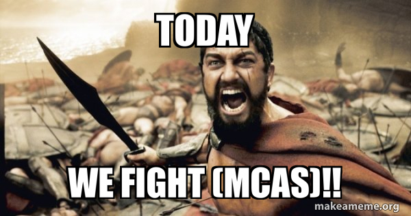 Today We Fight (MCAS)!! - The 300 Meme Generator