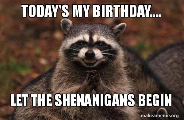 Birthday Shenanigans Memes Brighten Her Day With 300 Funny Birthday
