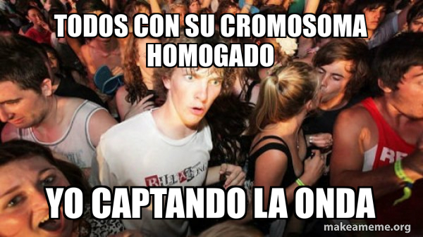 Todos con su cromosoma homogado Yo captando la onda - Sudden Clarity ...