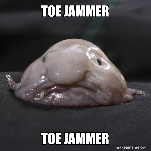 TOE JAMMER TOE JAMMER - Blobfish Meme Generator