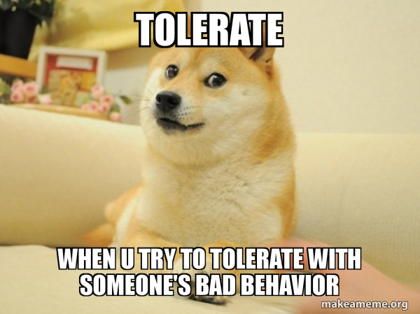 tolerate when u try to tolerate with someone's bad behavior - Doge Meme ...