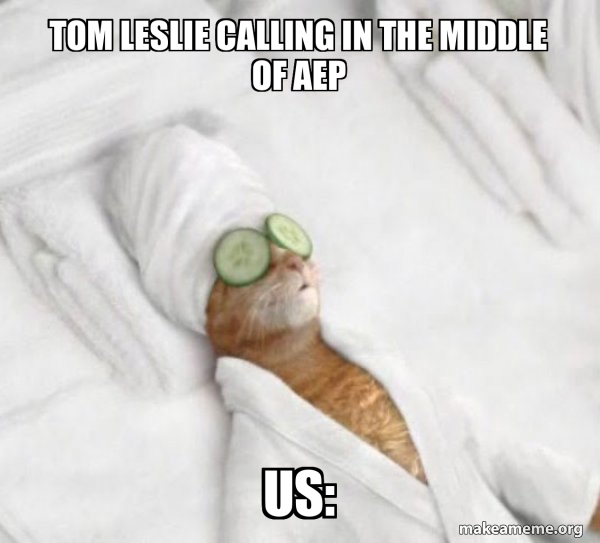 TOM LESLIE CALLING IN THE MIDDLE OF AEP US: - Pampered Cat Meme Meme ...