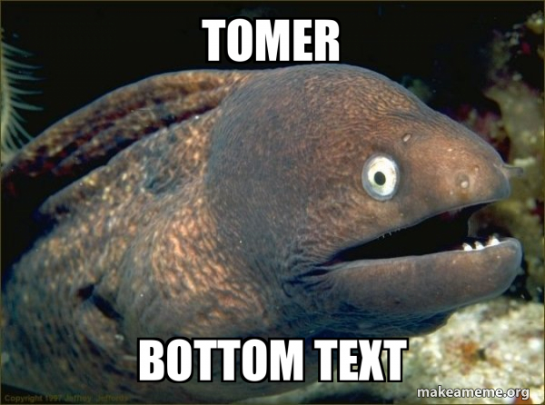 Tomer Bottom text - Bad Joke Eel Meme Generator