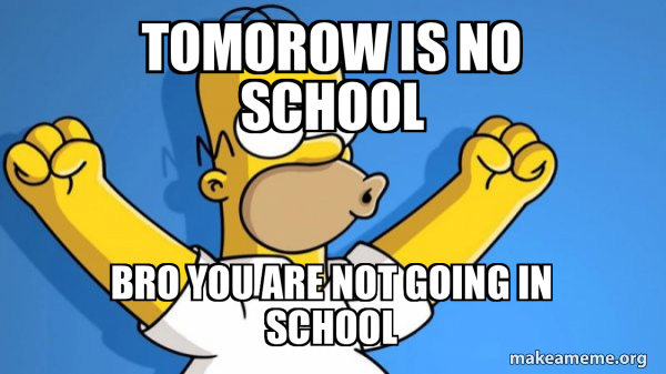 tomorow is no school bro you are not going in school - Happy Homer Meme ...