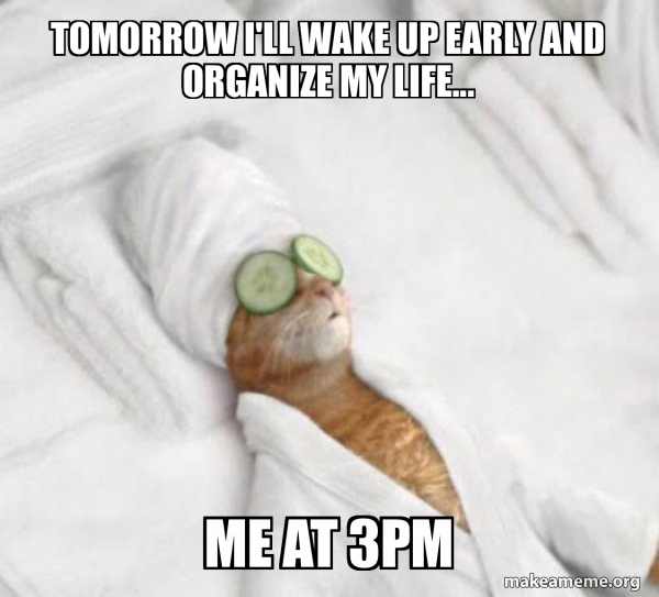 Tomorrow I'll wake up early and organize my life... Me at 3pm ...