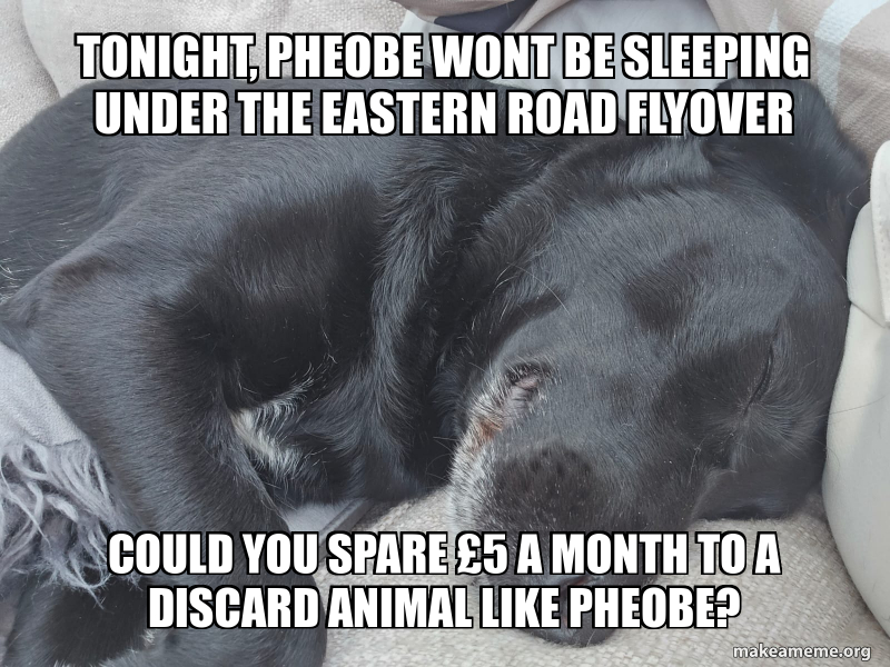 TonighT, pheobe wont be sleeping under the eastern road flyover Could ...