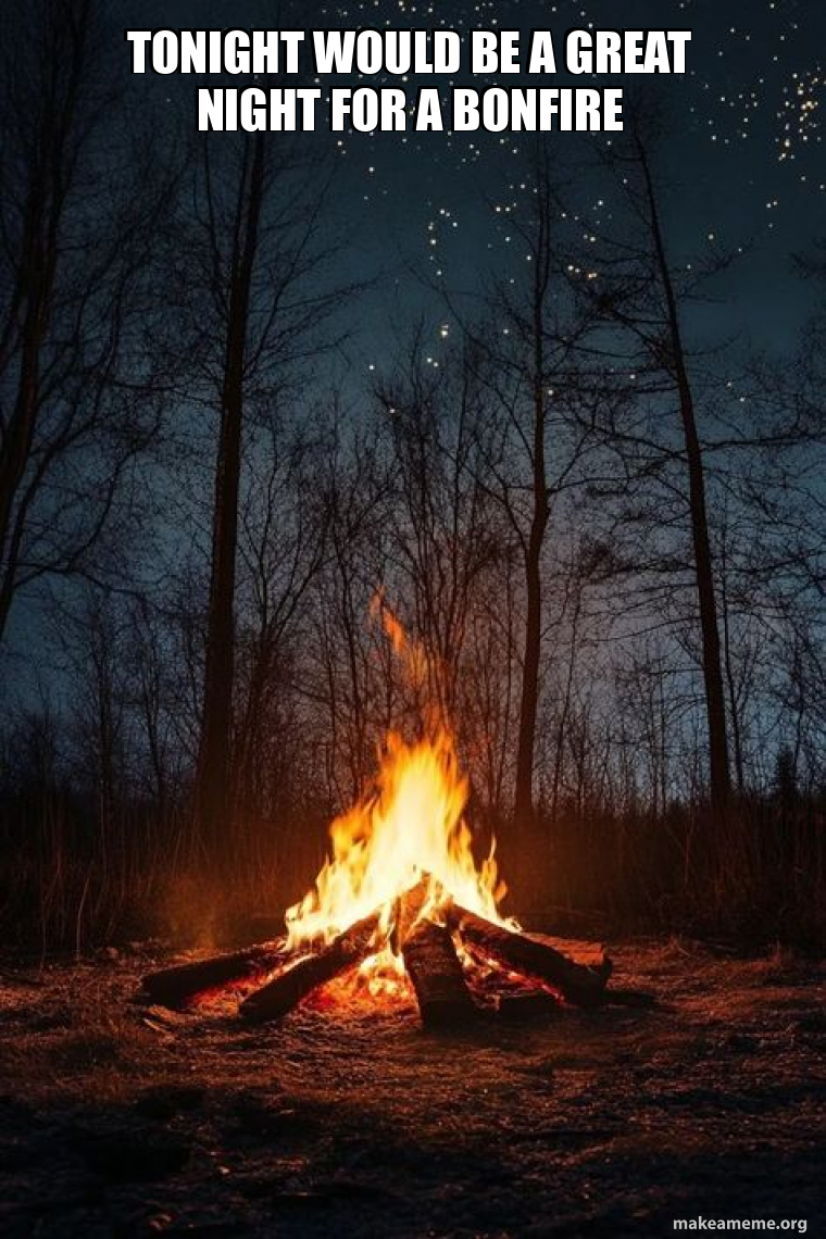 Tonight would be a great night for a bonfire Meme Generator