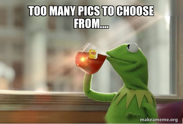 Too many pics to choose from.... - Kermit Drinking Tea Meme Generator