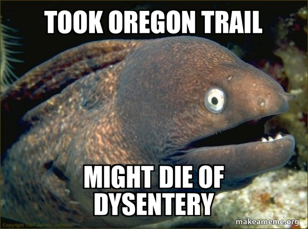 took oregon trail might die of dysentery - Bad Joke Eel Meme Generator
