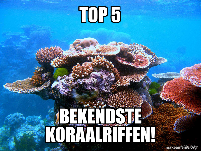 top 5 bekendste koraalriffen! Meme Generator