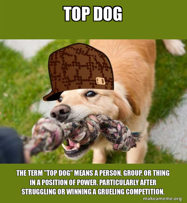 Top Dog The term "top dog" means a person, group, or thing in a ...