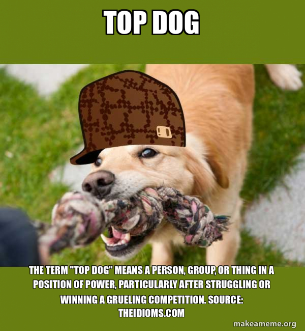 Top Dog The term "top dog" means a person, group, or thing in a ...