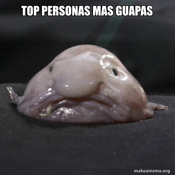TOP PERSONAS MAS GUAPAS - Blobfish Meme Generator